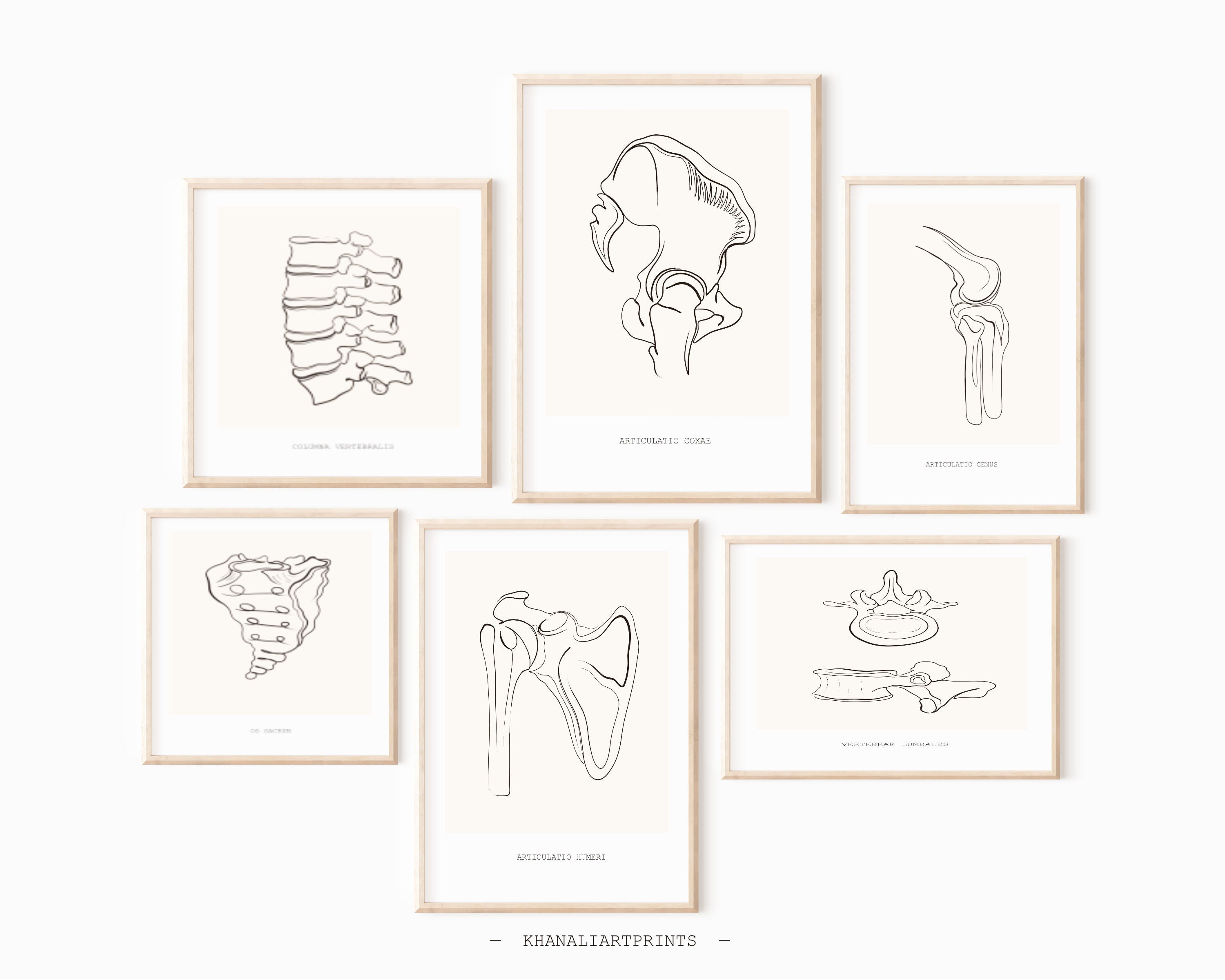 Human Anatomy Art Printsmedical Wall Art Set Anatomy Art | Etsy