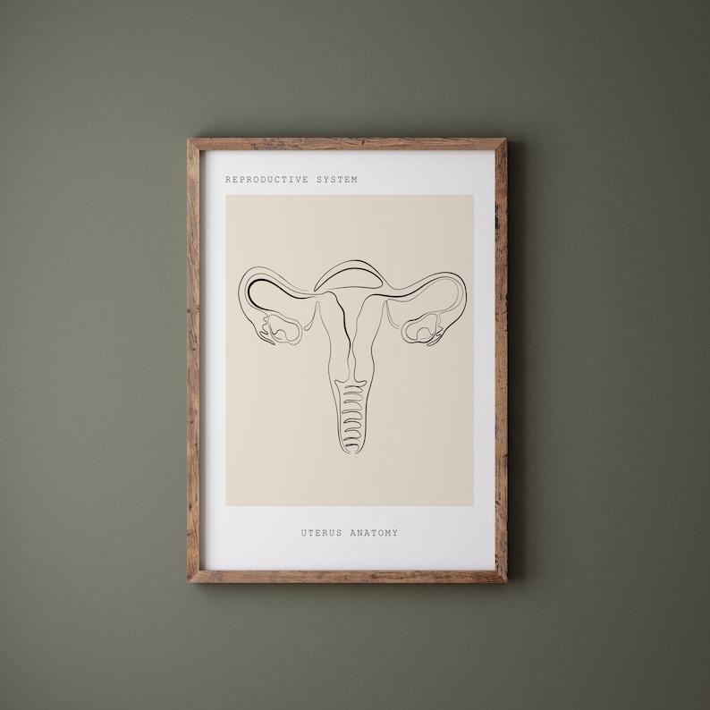 Anatomy Wall Art Female Reproductive System Artuterus - Etsy