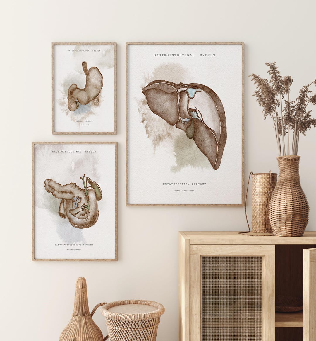 Digestive System Anatomy Printable, Watercolor Gİ Tract Wall Art ...