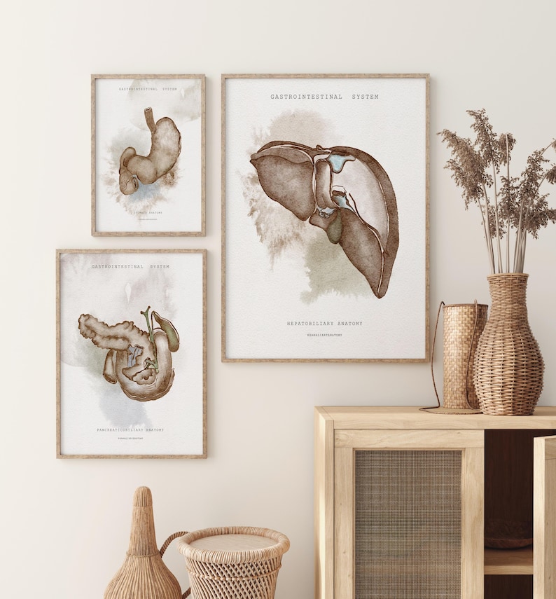Digestive System Anatomy Printable, Watercolor Gİ Tract Wall Art ...