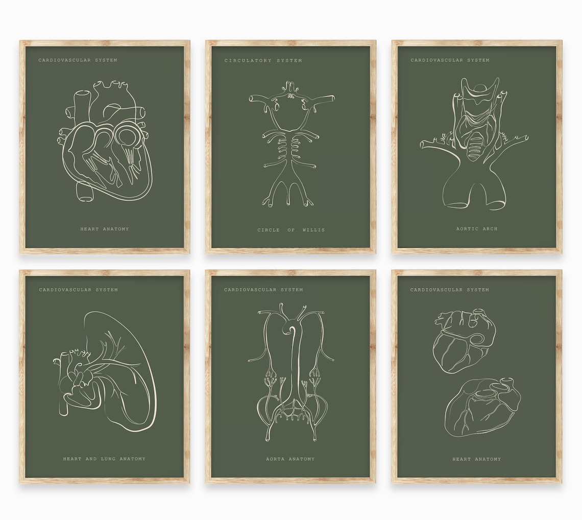 Human Anatomy Art Set Anatomy Poster Anatomy Wall - Etsy UK