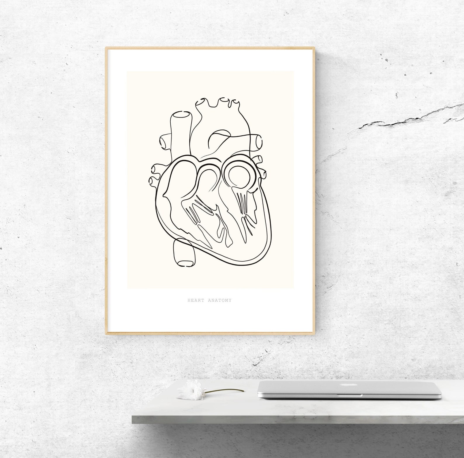 Heart Anatomy Print Anatomy Poster Anatomical Heart - Etsy