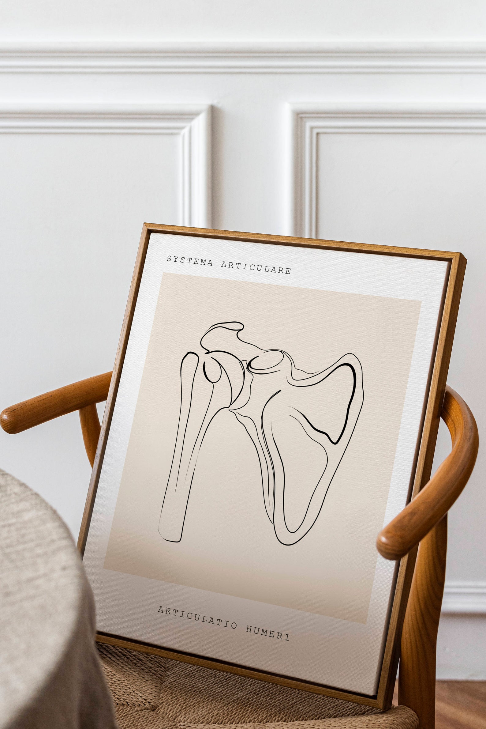 Human Anatomy Art Printsmedical Wall Art Set Anatomy Art - Etsy UK