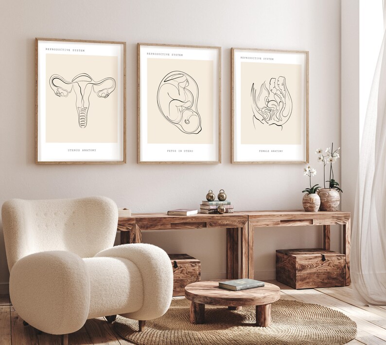 Anatomy Wall Art Female Reproductive System Artuterus - Etsy