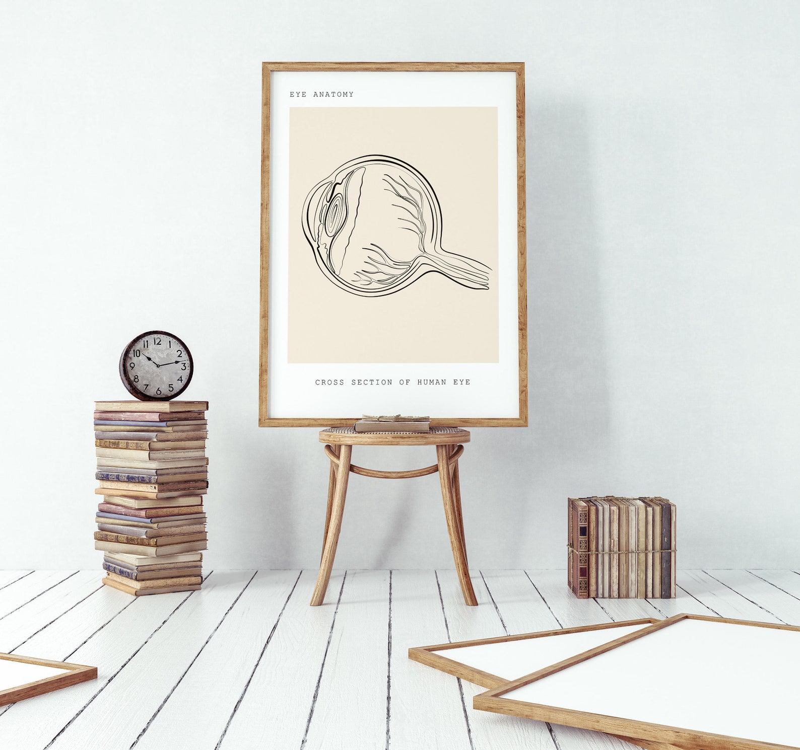 Human Anatomy Art, Eye Doctor Office Decor, Optometrist Gist, Medical ...