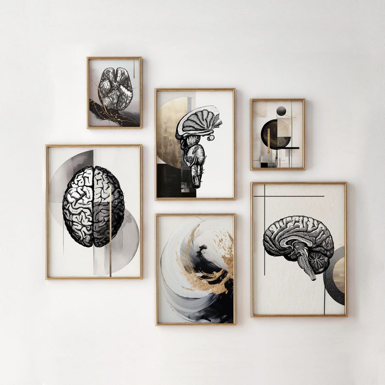 Brain Anatomy Wall Art Set 6, Neuroscience Posters, Modern Nervous ...