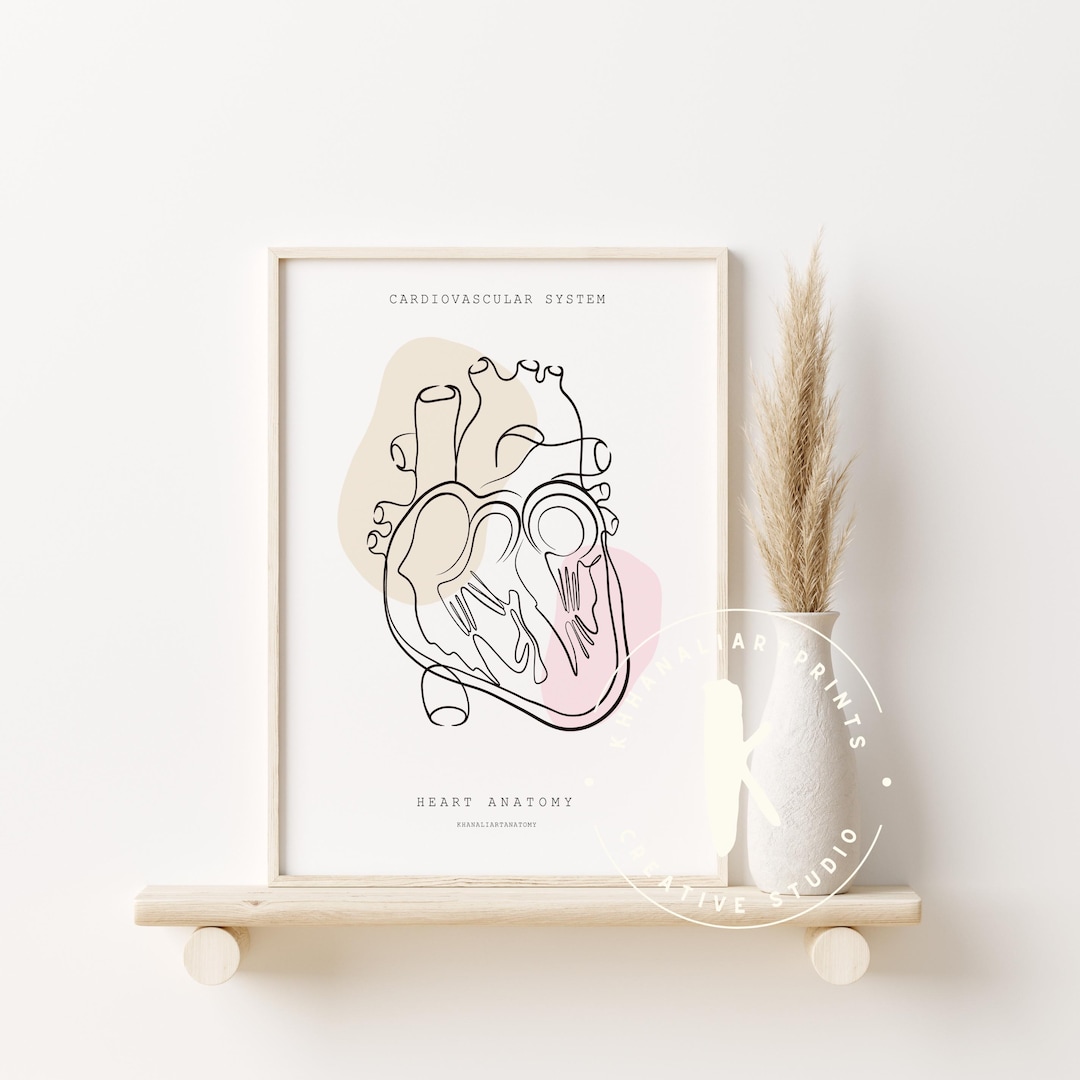 Heart Anatomy Line Art Print – Minimalist Cardiology Decor (digital ...