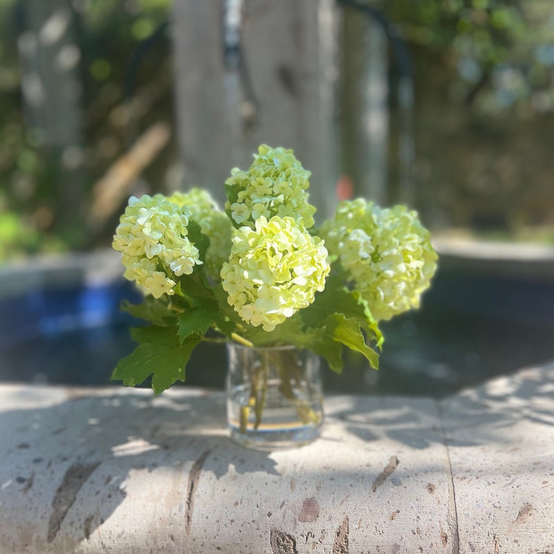 Hydrangeas in Vase - Etsy