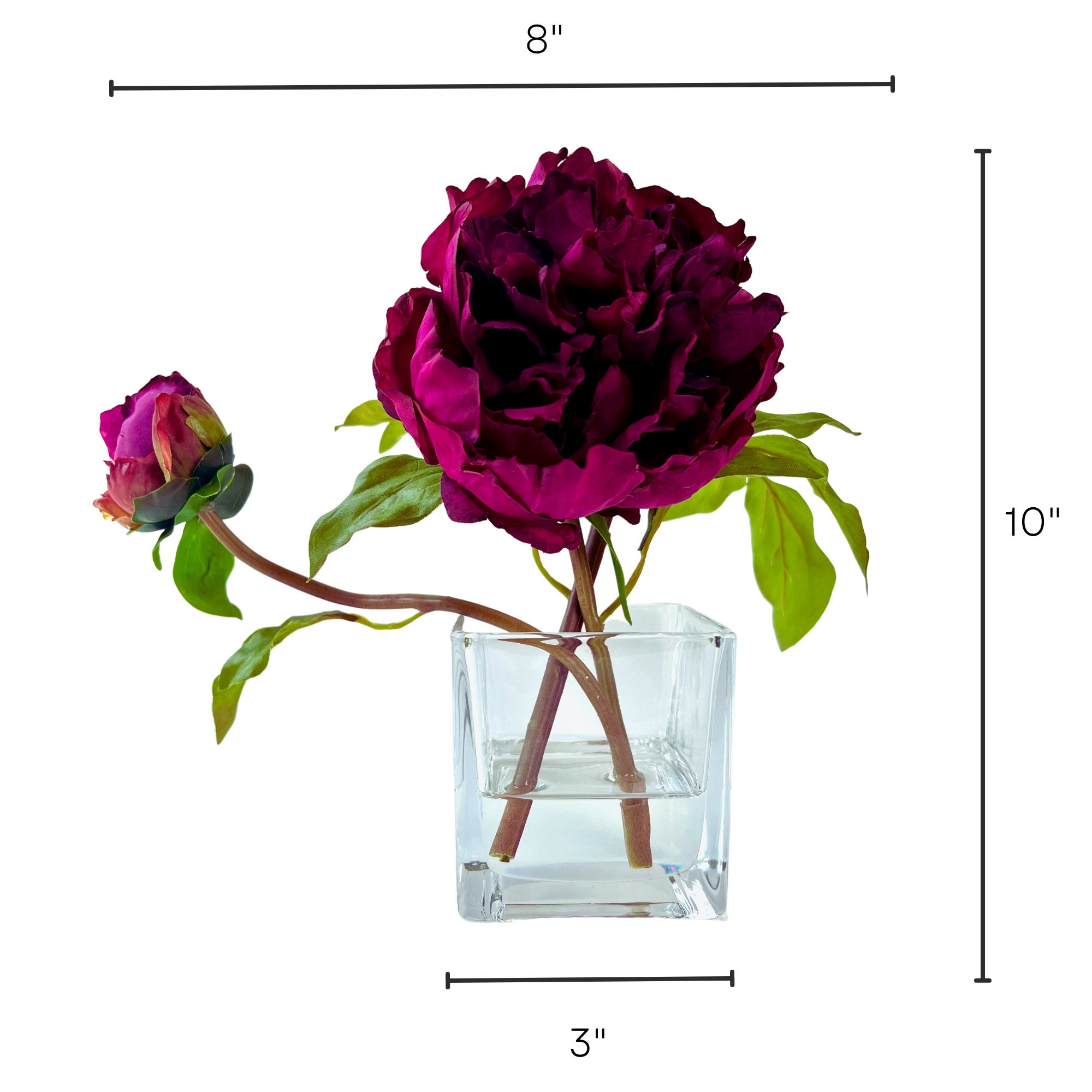 Peony Arrangement in Glass Vase Single Stem Modern Flower Arrangement ...