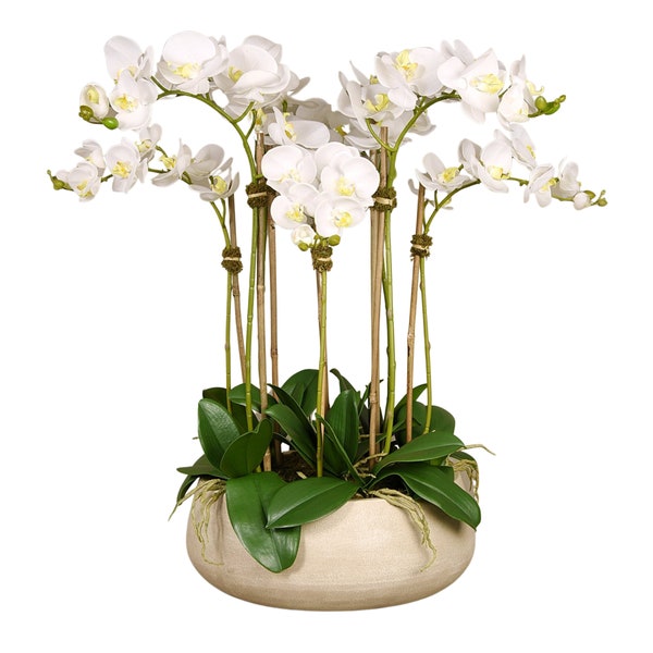 Orchid Centerpiece - Etsy
