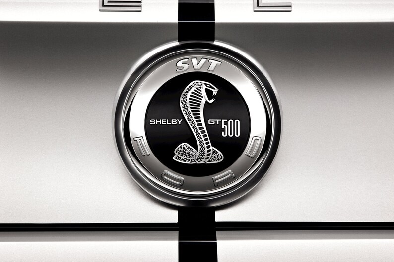 Ford Shelby GT500 Logo Poster - Etsy