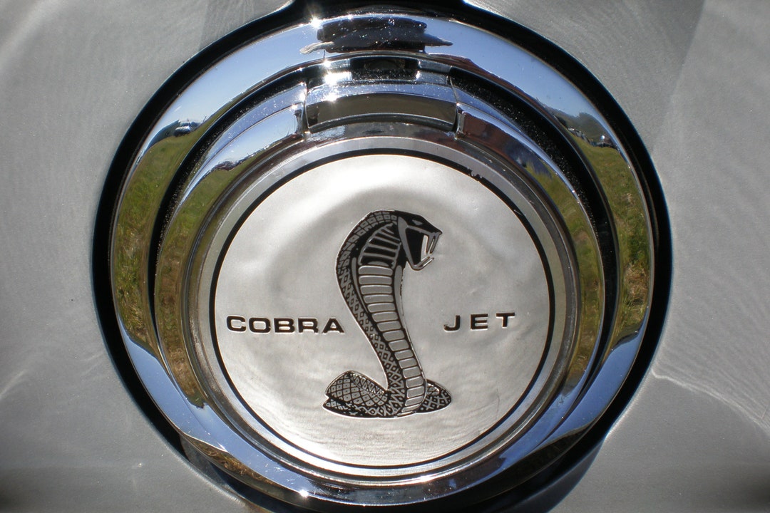 Cobra Mustang Logo in Metal Poster - Etsy