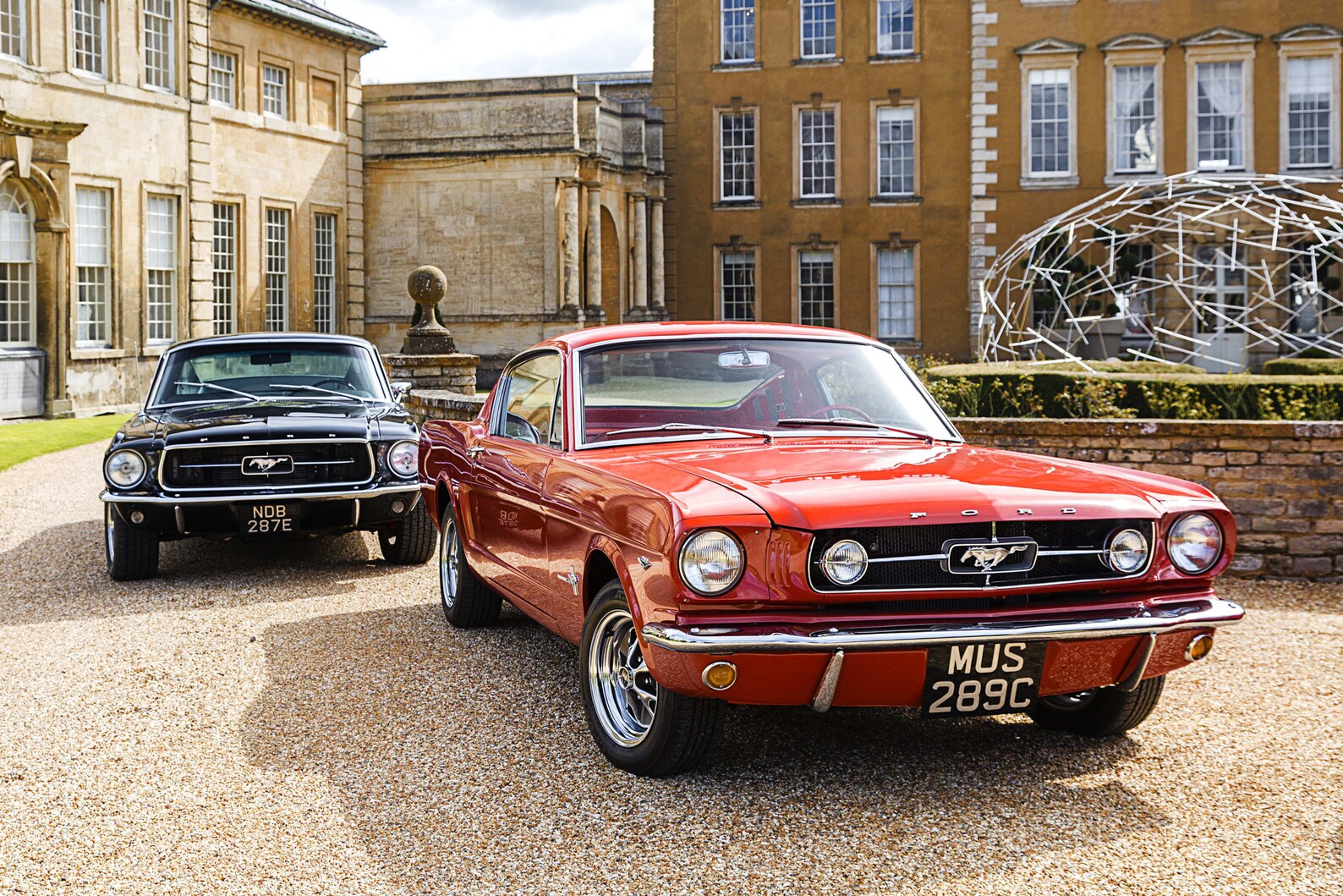 1960s American Muscle Cars, Mustangs, Iconic Poster - Etsy