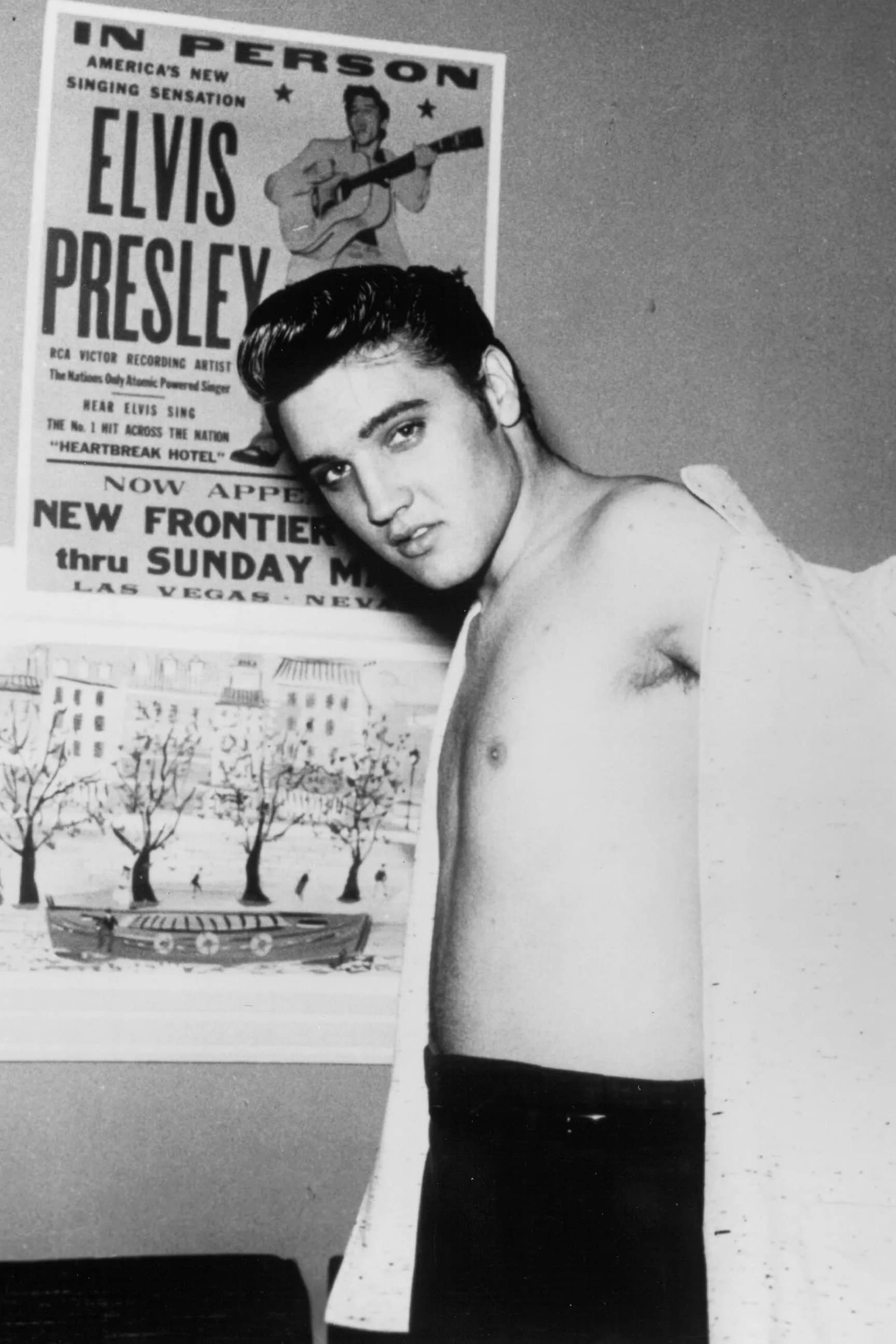 Vintage Elvis Concert Posters