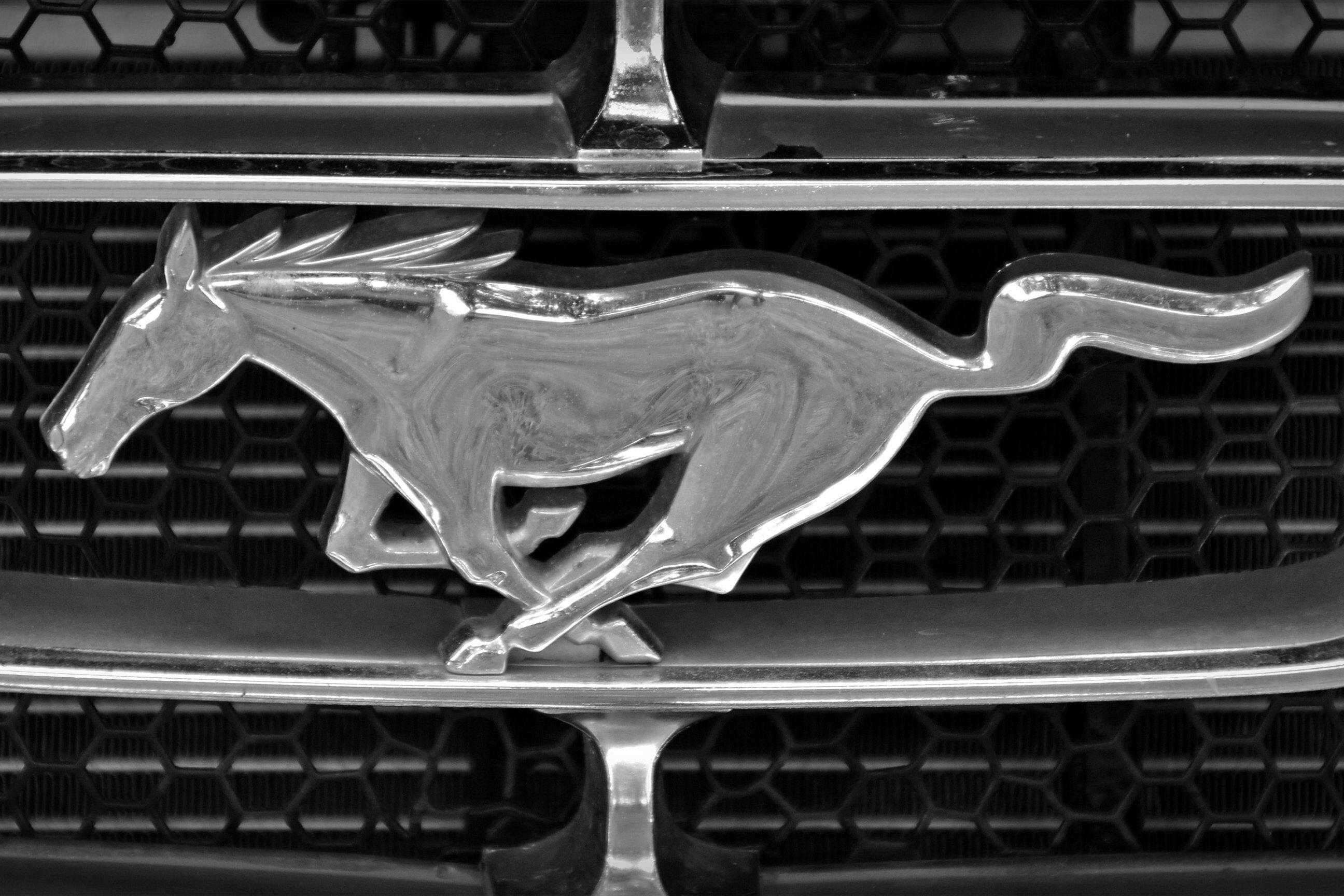 Mustang Logo Black And White