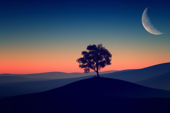 Moon and Lone Tree 4K Beauty Poster - Etsy