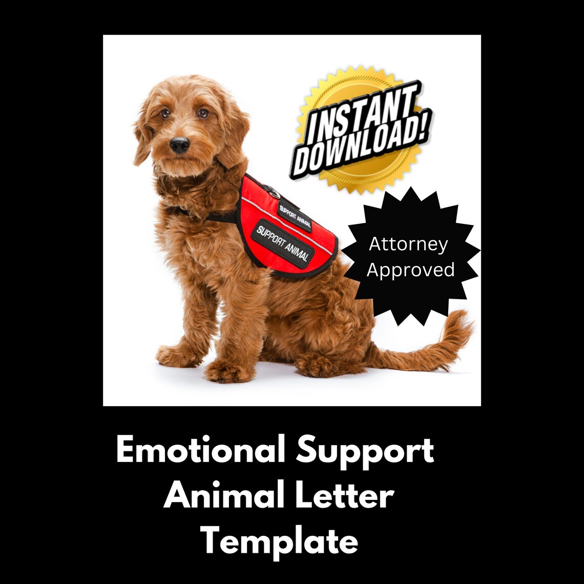 ESA Letter Template for Mental Health Professionals: Attorney Approved ...