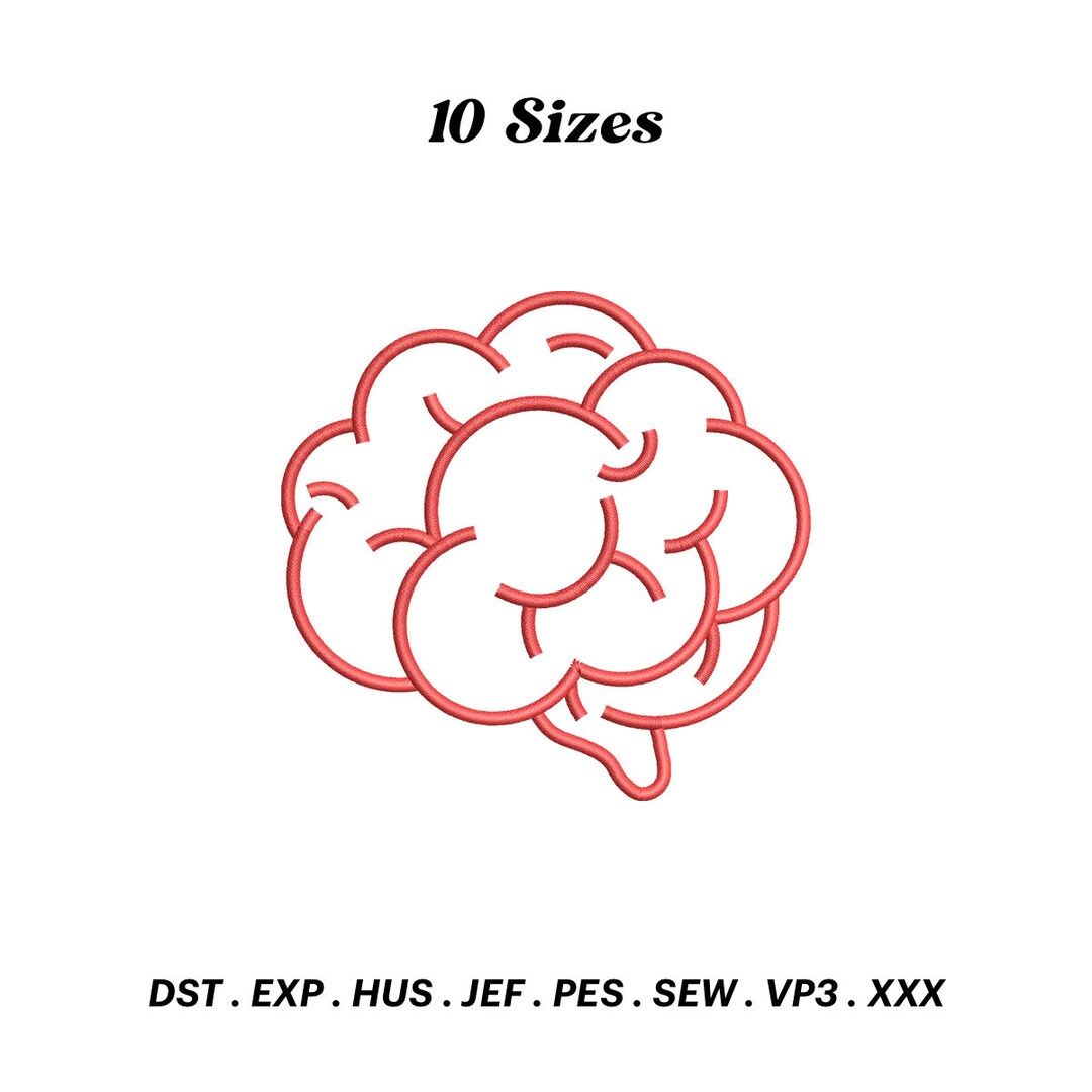 Brain Embroidery Design, Anatomy Outline Digitizing, Medical Anatomical ...