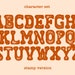 Coyote Drake Font, Groovy Font, Western Style Rodeo Cowboy, Wildwest ...