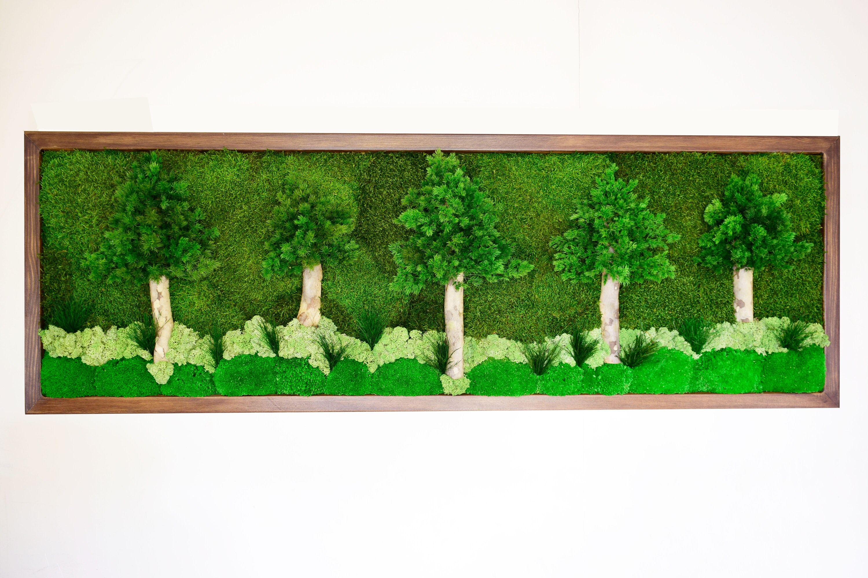 Moss Wall Art Moss Wall Decor Moss Art Framed Moss Art Wall - Etsy