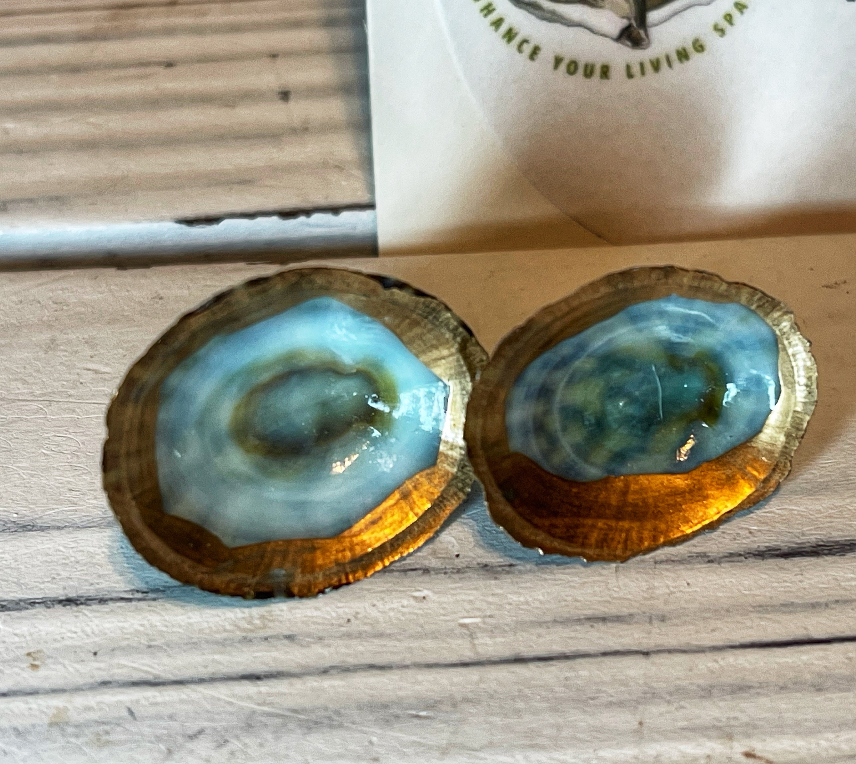Gold Leaf Trimmed Limpet Shell Earrings/blue-green Shell Earrings/aqua ...