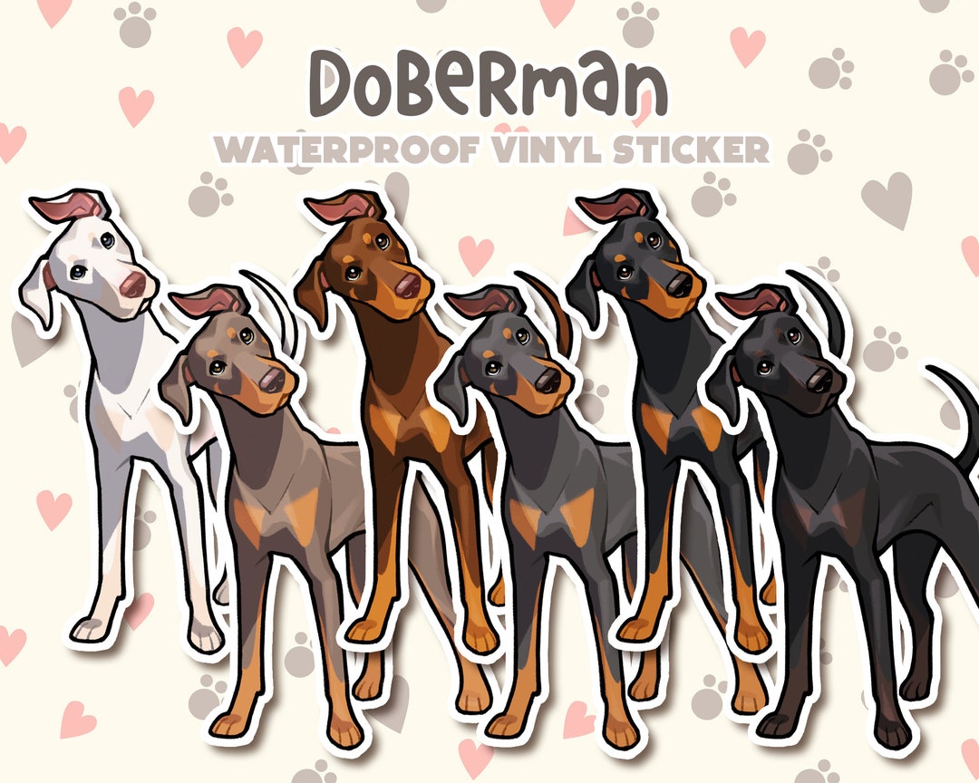 Dog Sticker | Doberman Sticker | Waterproof, Vinyl, Pet Lover Dog Breed ...