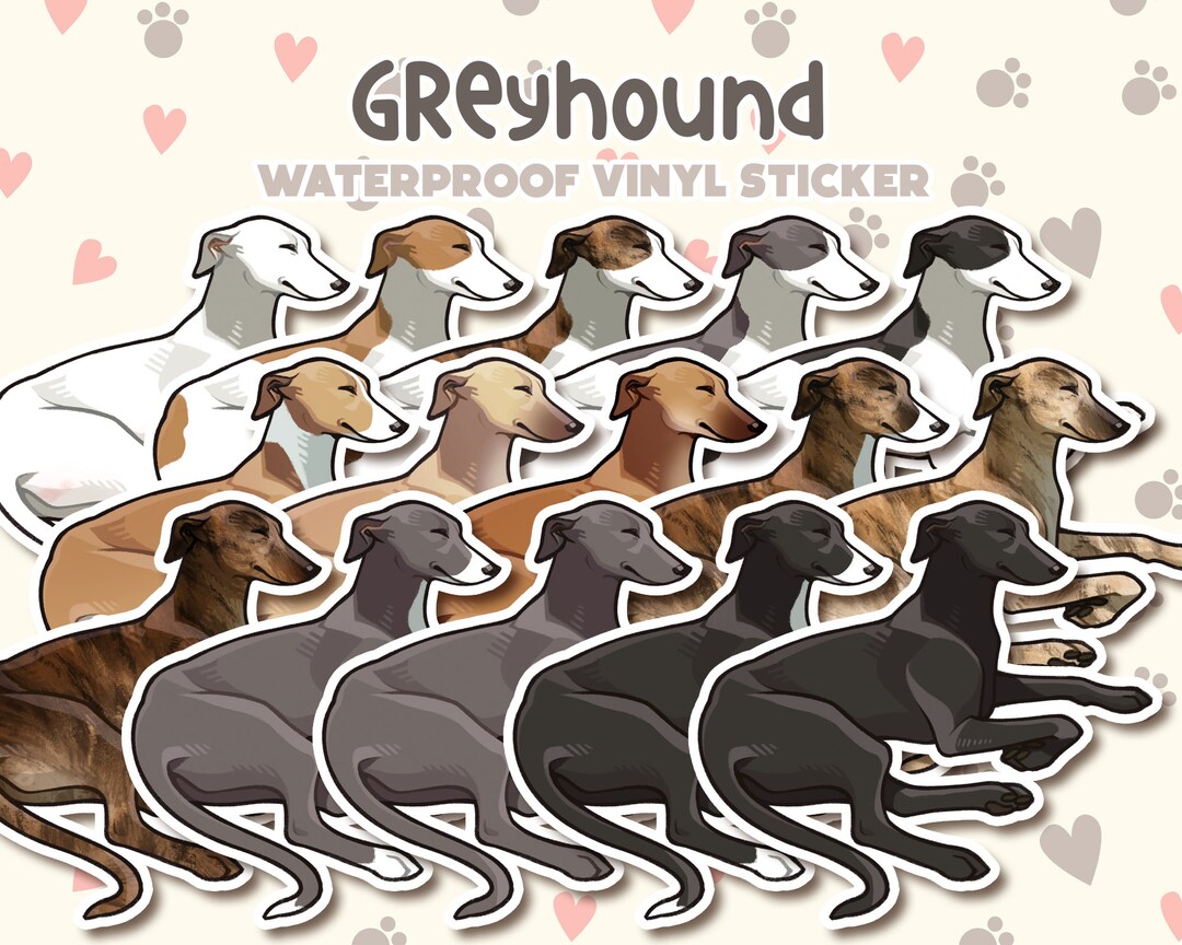 Dog Sticker | Greyhound | Waterproof, Vinyl, Pet Lover Dog Breed Gift ...