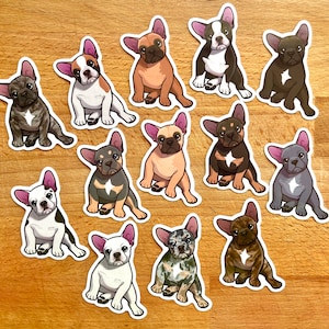 Dog Sticker | Frenchie French Bulldog Sticker | Waterproof, Vinyl, Pet ...