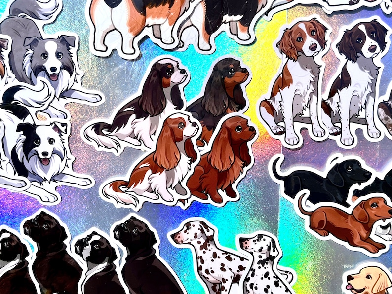 Dog Sticker | Cavalier King Charles Spaniel Sticker | Waterproof, Vinyl ...
