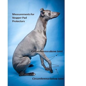 Dog - Neoprene Stopper Pad / Dew Claw Protectors - Paw Support, Agility ...
