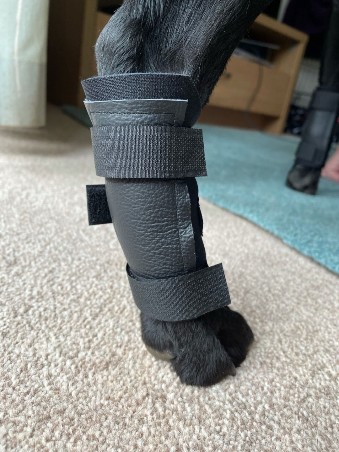 Neoprene Hock Protectors for Dogs Made in the UK - Etsy