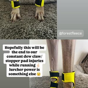 Buy Dog - Neoprene Stopper Pad / Dew Claw Protectors - Paw Support ...