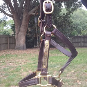 Secretariat Baby Halter // Souvenir Memorabilia Gorgeous - Etsy