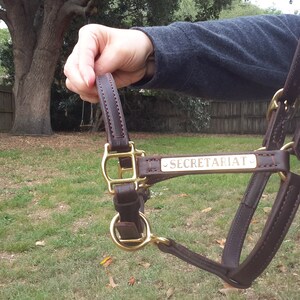 Secretariat Baby Halter // Souvenir Memorabilia Gorgeous - Etsy