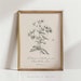 Vintage Scripture Gallery Wall Art Prints, PRINTABLE Bundle, Christian ...