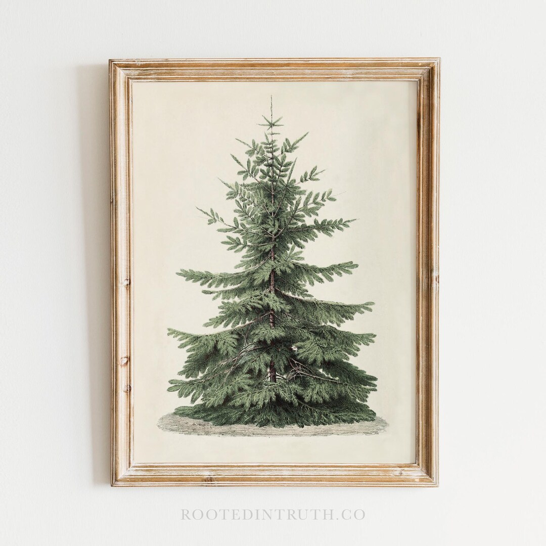 Vintage Fir Christmas Tree, Scripture Wall Art Print, Bible Verse ...