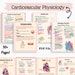 Anatomy and Physiology Note Taking Templates | Study Guide Templates - Etsy