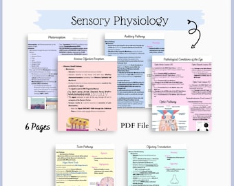 Anatomy and Physiology Note Taking Templates Study Guide - Etsy