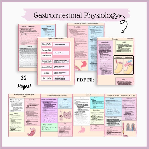 Digestive System - Etsy