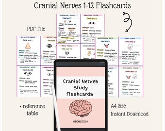 Anatomy and Physiology Note Taking Templates Study Guide - Etsy