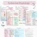 Endocrine System Physiology Notes | Anatomy and Physiology Endocrine ...