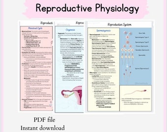 Anatomy and Physiology Reproductive System Bundle Reproductive System ...