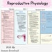 Endocrine System Physiology Notes Anatomy and Physiology Endocrine ...