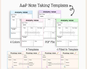 Sensory Physiology Notes Anatomy and Physiology Sensory - Etsy