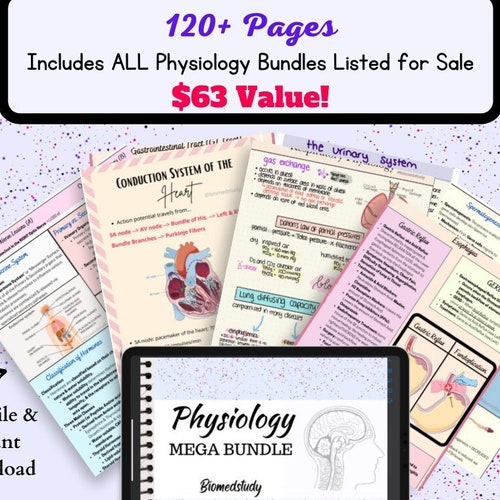 Physiology Mega Bundle Physiology Notes Anatomy and - Etsy