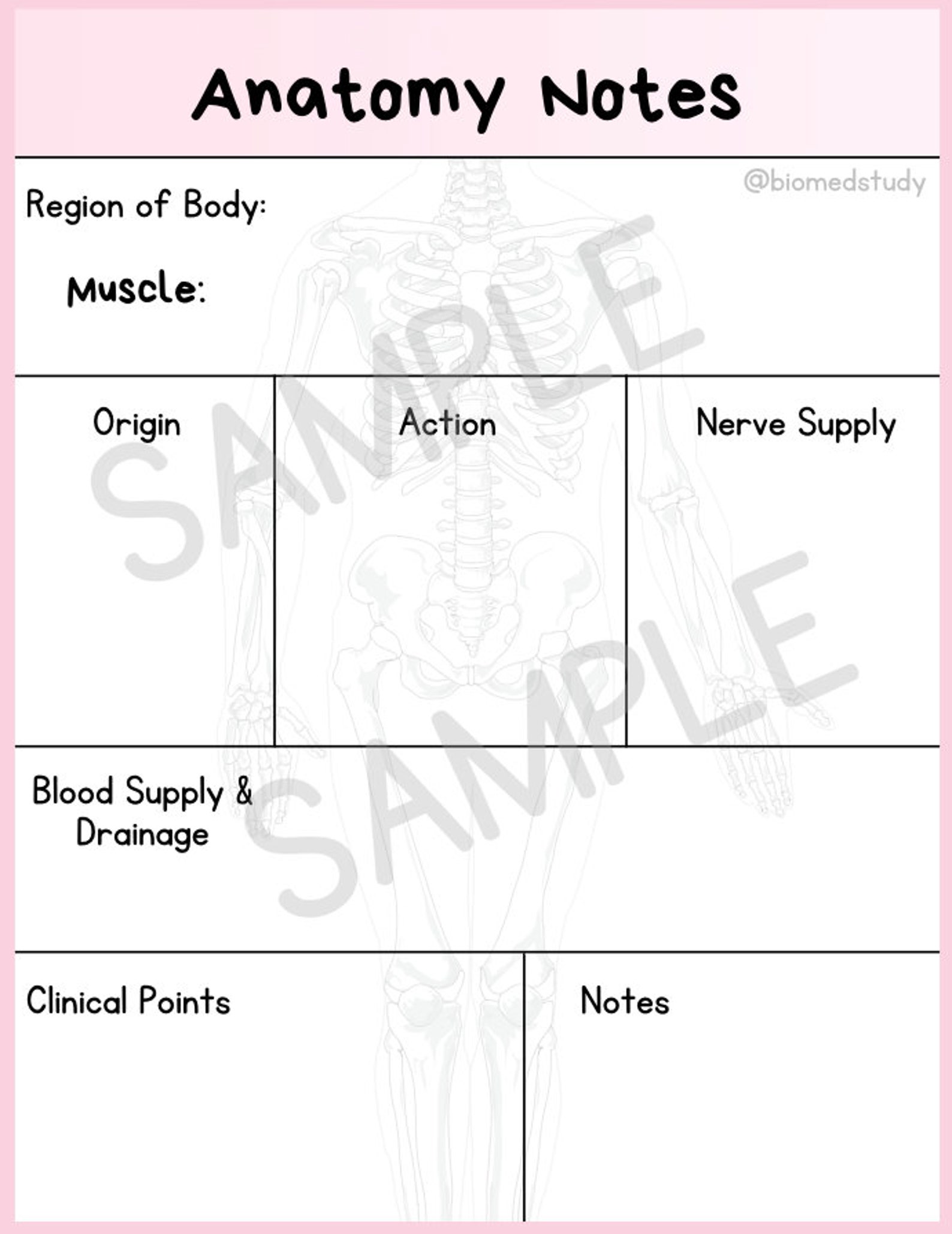 Anatomy And Physiology Printable Notes