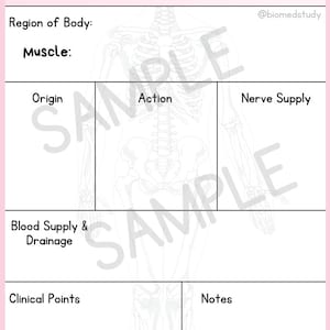 Anatomy and Physiology Note Taking Templates | Study Guide Templates - Etsy