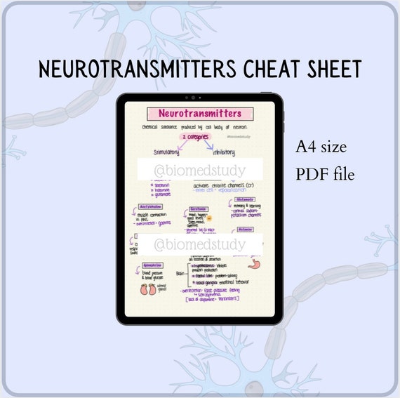 Physiology Neurotransmitters Cheat Sheet Neurotransmitters - Etsy UK