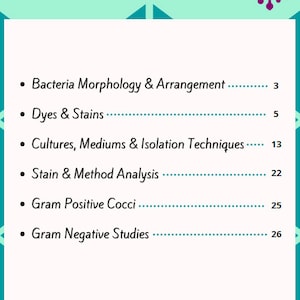 Microbiology Lab Study Guide | Microbiology Notes Bundle - Etsy