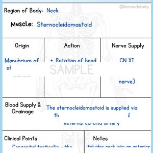 Anatomy and Physiology Note Taking Templates | Study Guide Templates - Etsy
